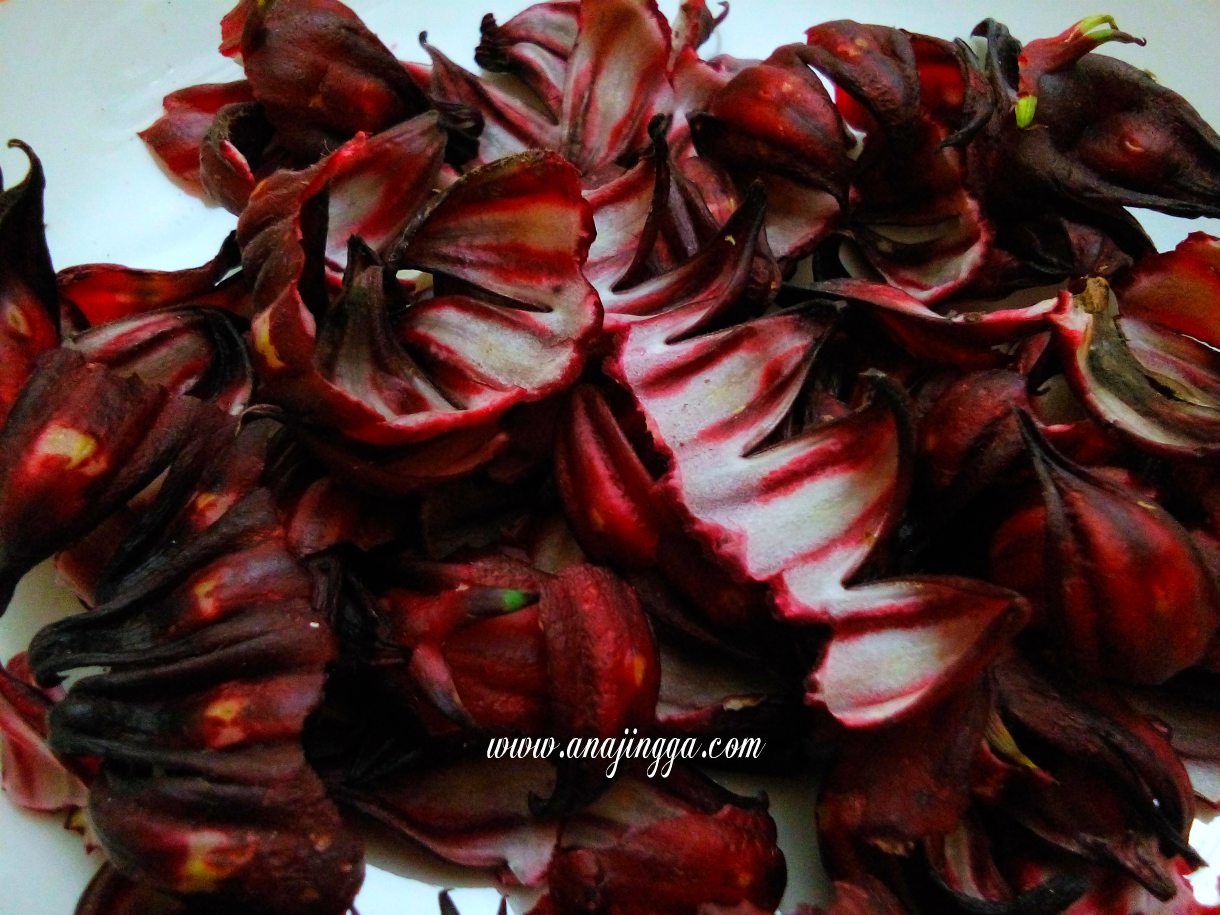 Cara Buat Jus Buah Rozel