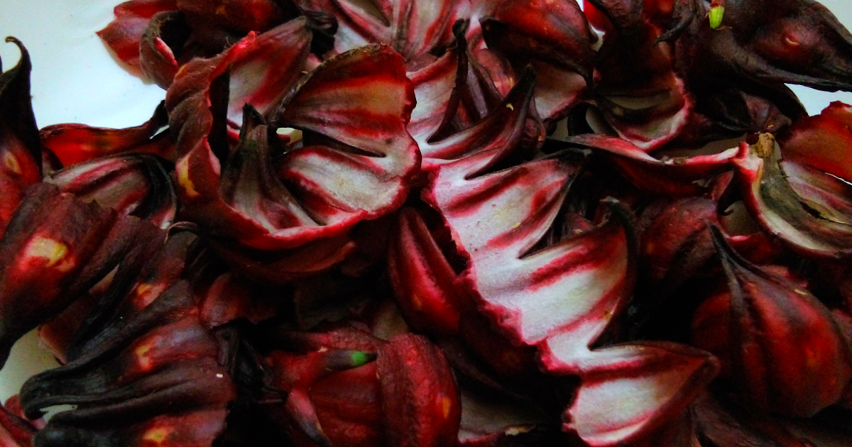 Cara Nak Buat Air Rozel - CurtisrosBoyle