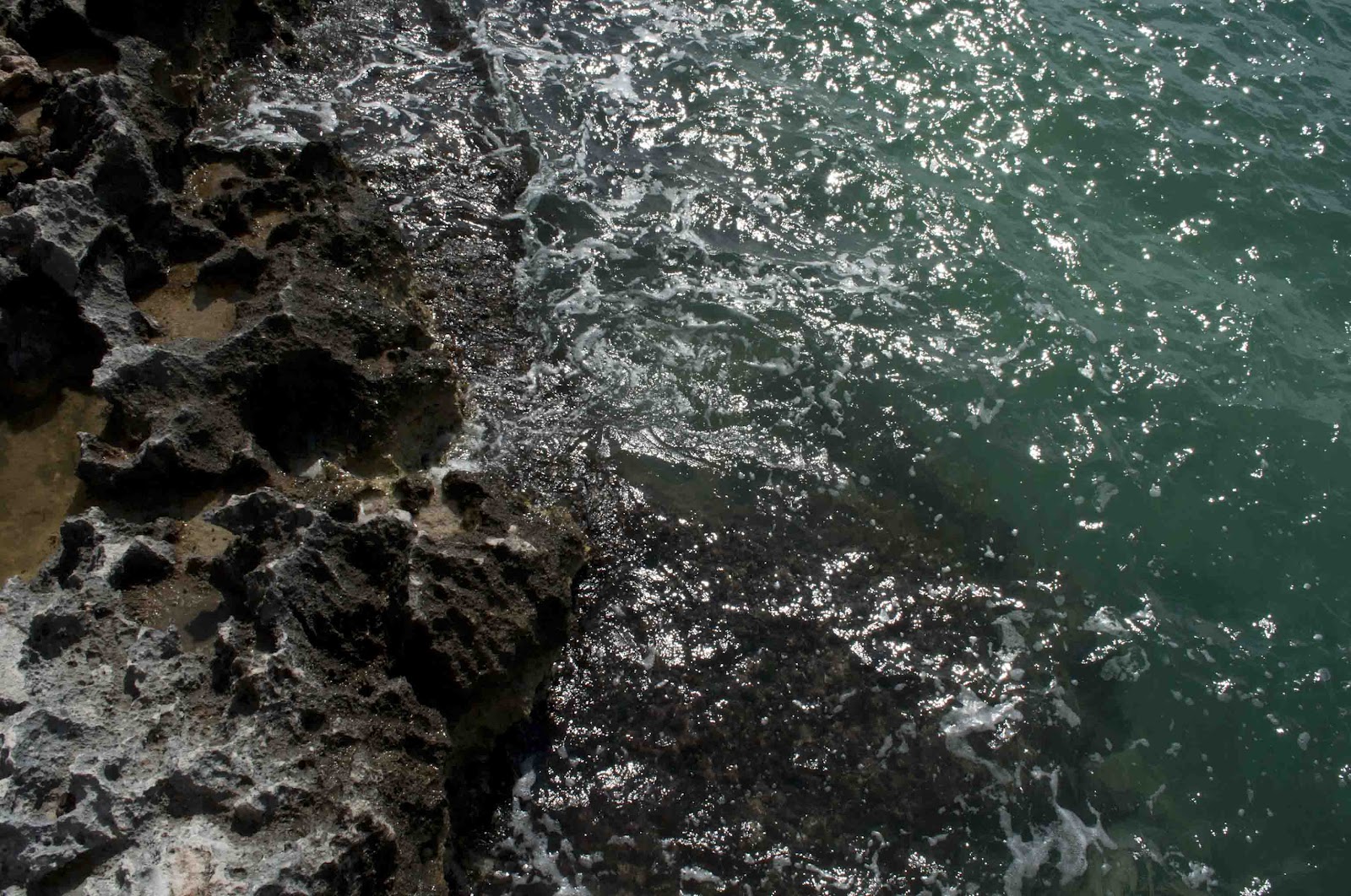 FotografiArte: Texturas del Mar