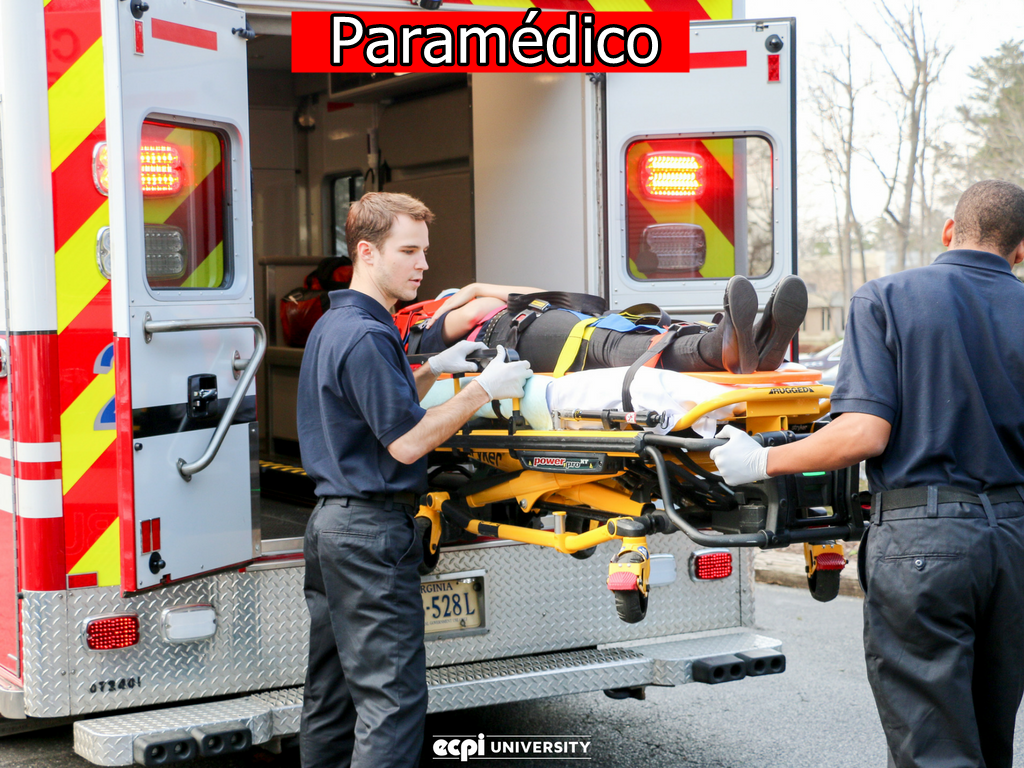 Paramédico ~ Perfil Laboral