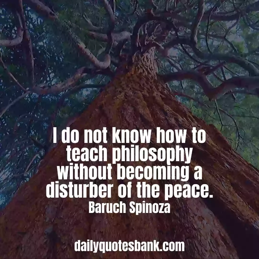 135 Philosophy Quotes On Life That Will Turn You A Philosopher