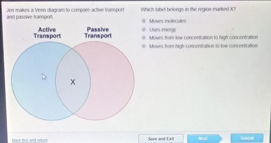 Passive Transport Vs Active Transport Venn Diagram - Collage Template
