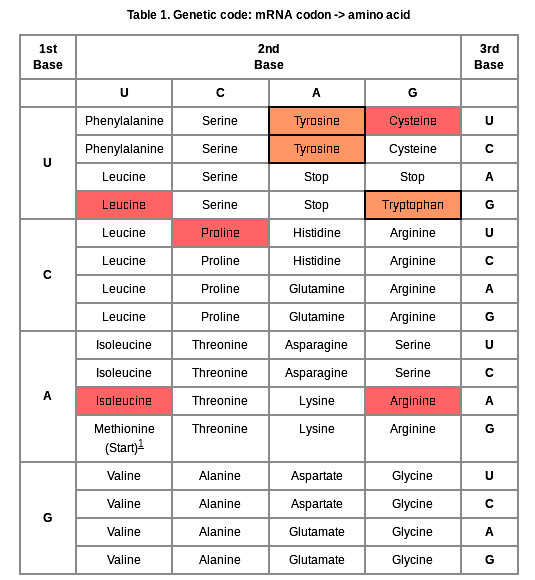 Evolution blog: Volendammer mutatie tast de kern van de genetische ...
