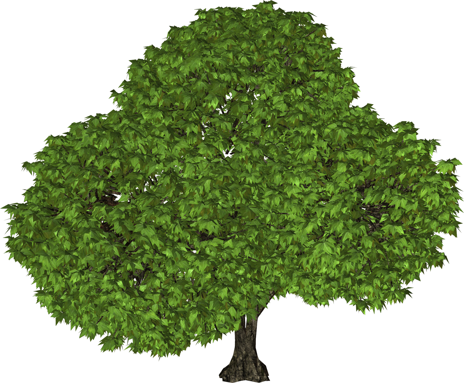 pouzolles textures : arbres,buissons et arbustes