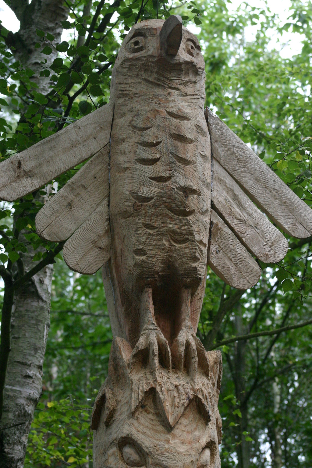 Wildart: August 2011