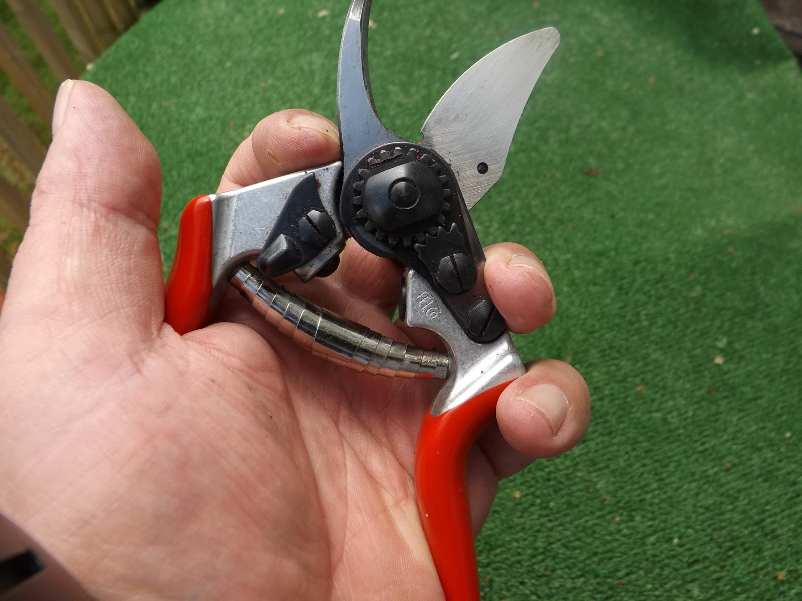 The pruning expert: Cleaning your secateurs