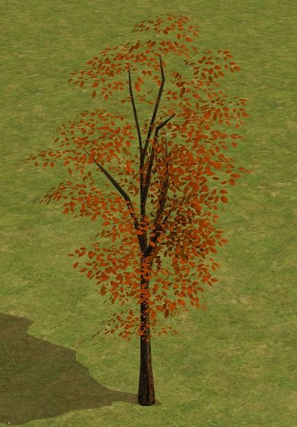 TheNinthWaveSims: The Sims 2 - TS4 Birch Tree For The Sims 2