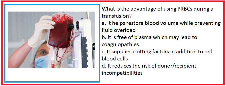 Nursing Stuff: Blood Transfusions