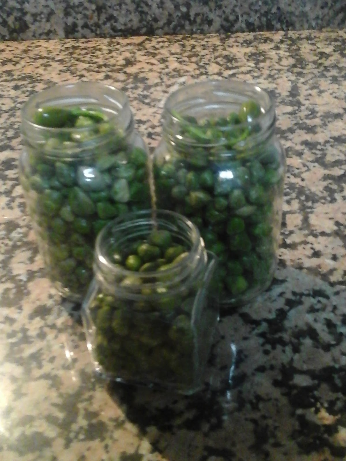 Alcaparras en conserva. | Cocinar desde el sentimiento