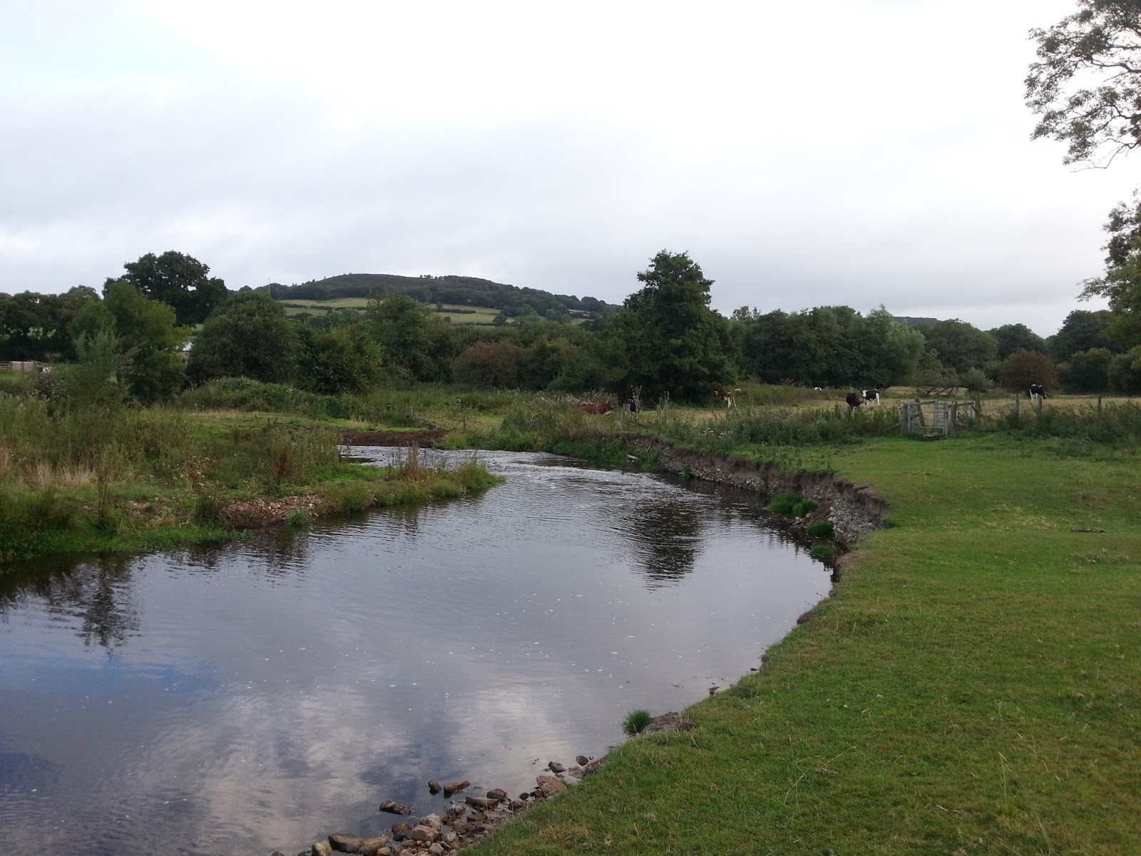 antonalyptic: Culmstock Beacon