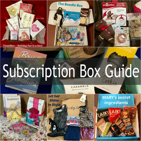 Stacy Talks & Reviews: Subscription Boxes For All