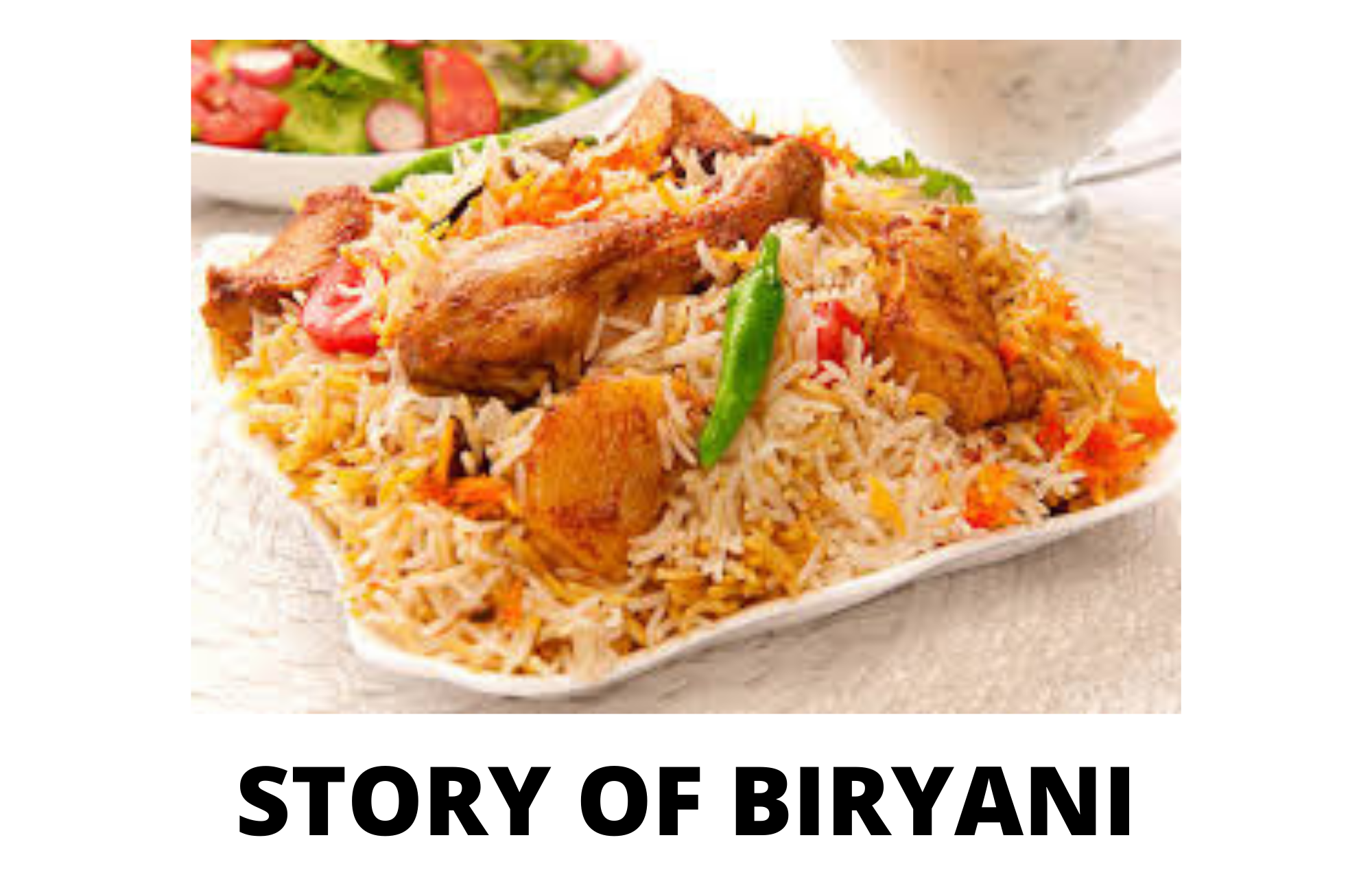 BIRYANI FOOD biryani-food