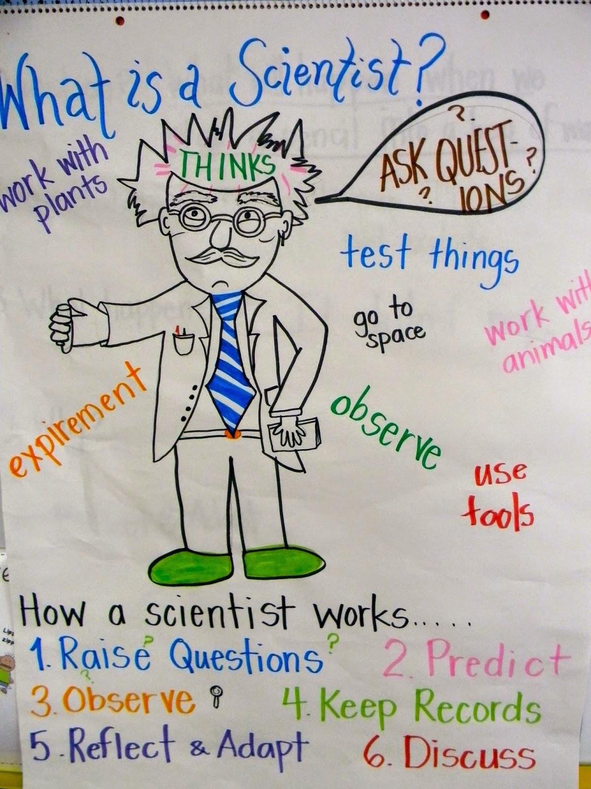 The Power of Primary Learning: First Week of School