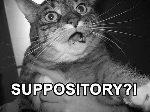 [TMP] "I wonder what this could be" Topic