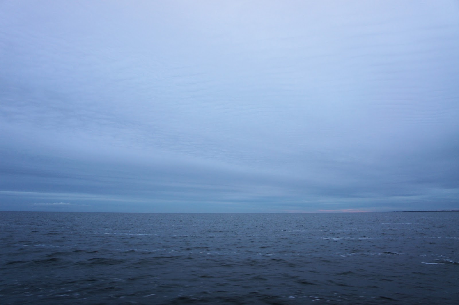 Amphibear: Lake Peipsi