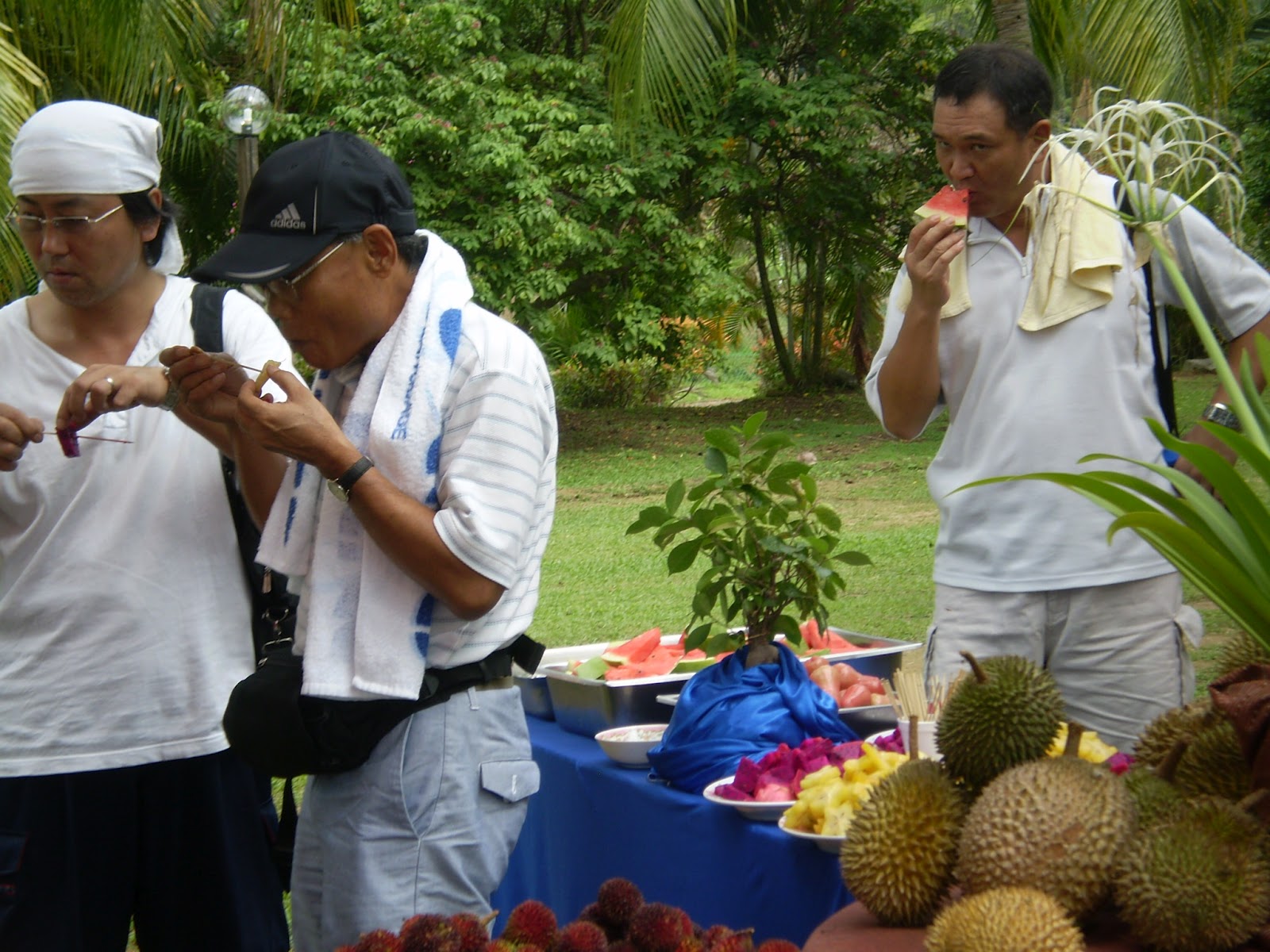 Melaka Tropical Fruit Farm: Lawatan ke Melaka Tropical Fruit Farm Sdn Bhd