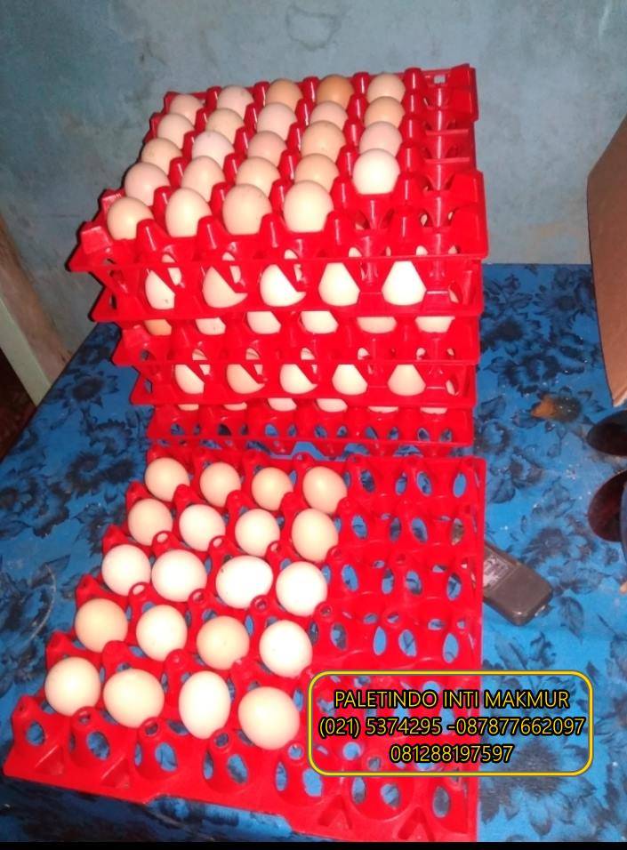 CV. PALETINDO INTI MAKMUR : Tray Telur Ayam Isi 30 Butir