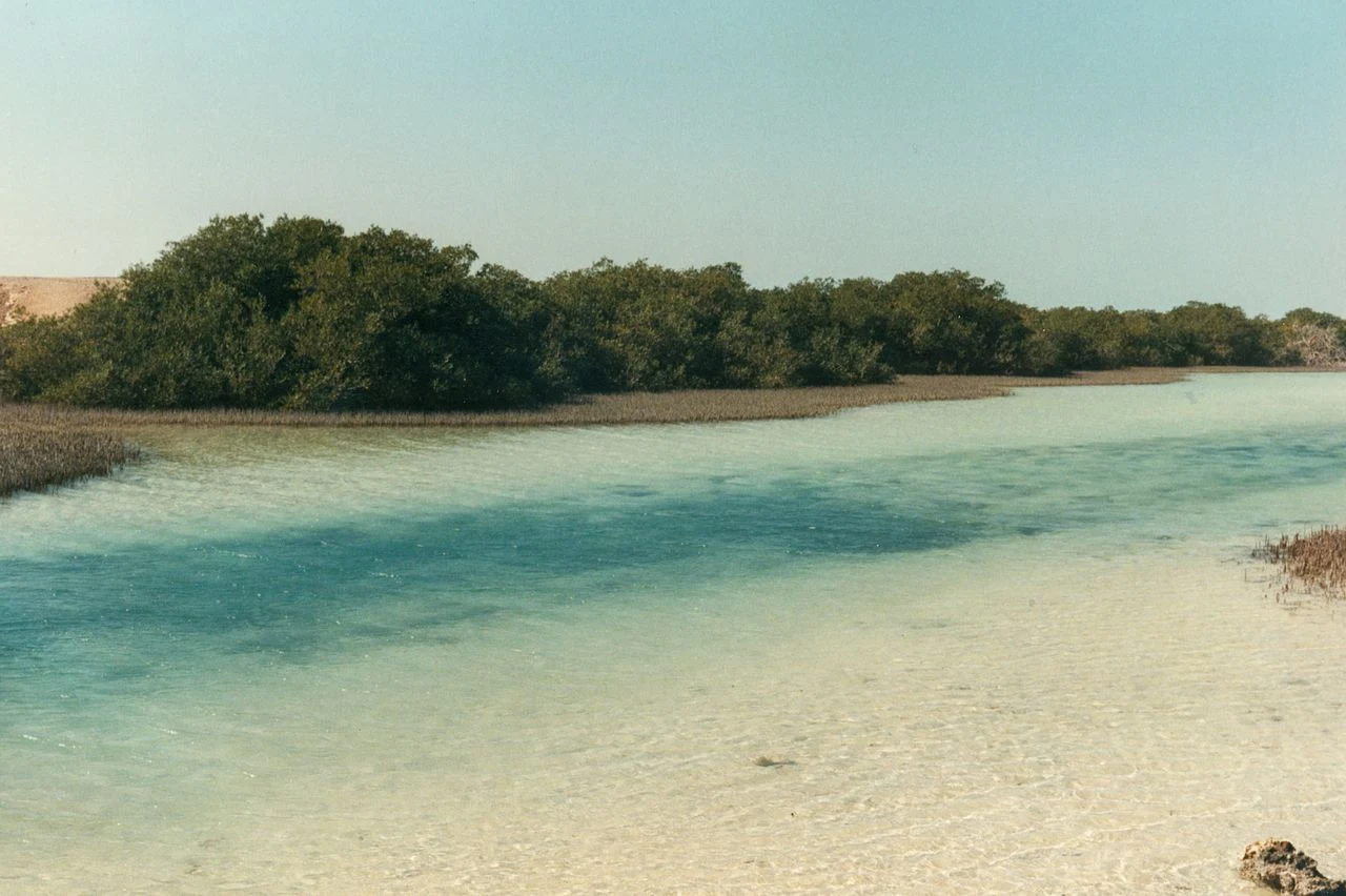 Ras Mohammed National Park, Egypt (with Map & Photos)