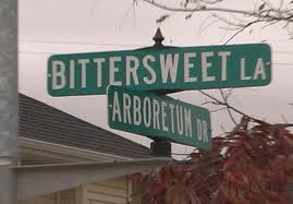 In Grieving, In Joy - Bittersweet Endings...