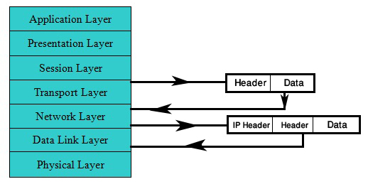 Networking Gurus: 2011