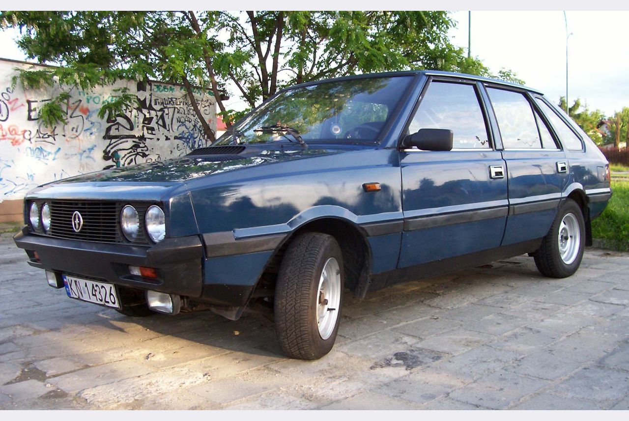 Polonez - JungleKey.fr Image #200