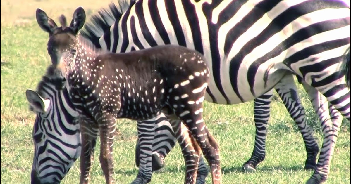 Buckles Blog: FROM CASEY GIBBS