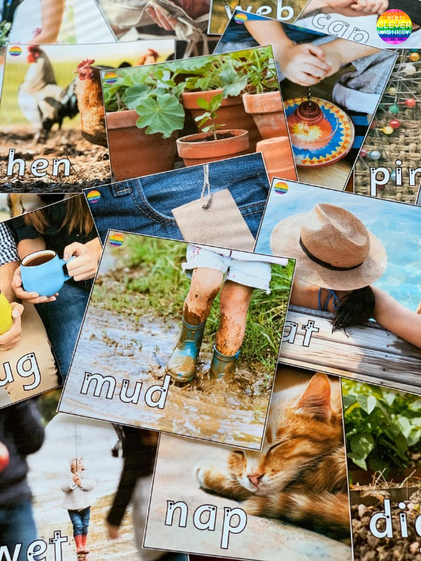 MAKING CVC WORDS, BUILDING PHONOLOGICAL AWARENESS | you clever monkey