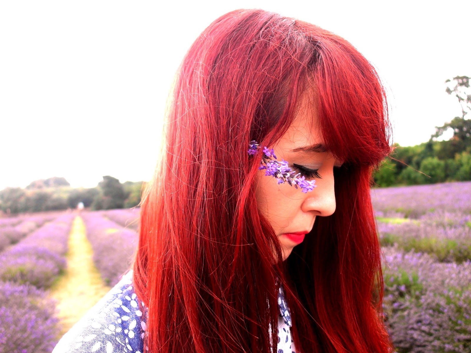 Mayfield Lavender Farm, Croydon | Lynette
