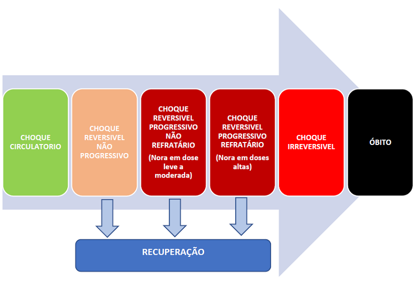 MEDICINA INTENSIVA CUSTOMIZADA