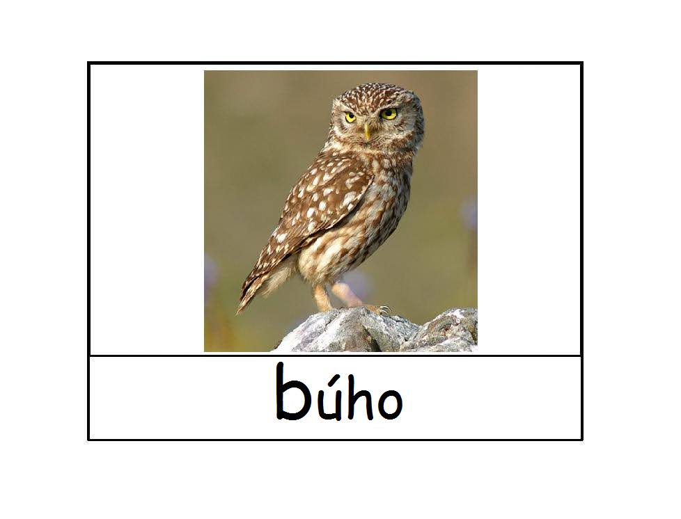 El Jardín de los Sueños: Colección imágenes educativas