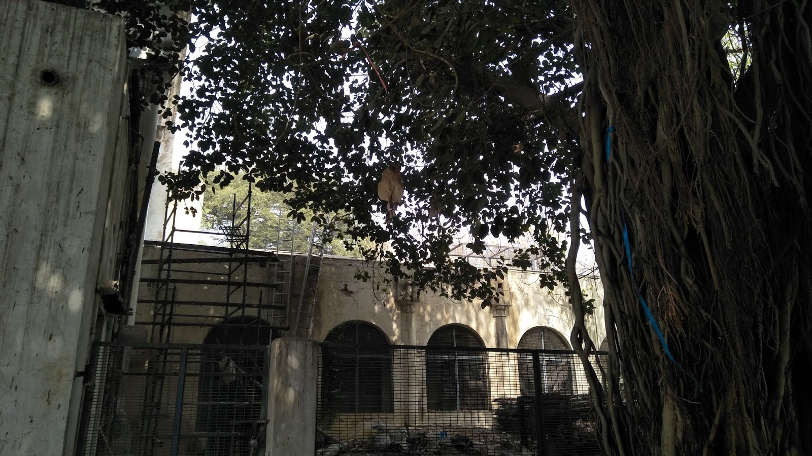 Past People Places : Dara Shukoh's library