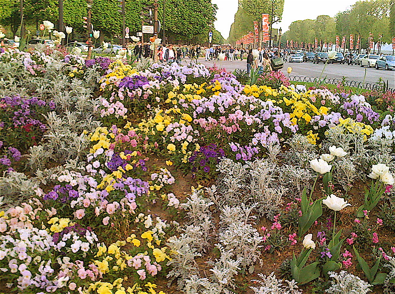 Postcards from Paris: April in Paris