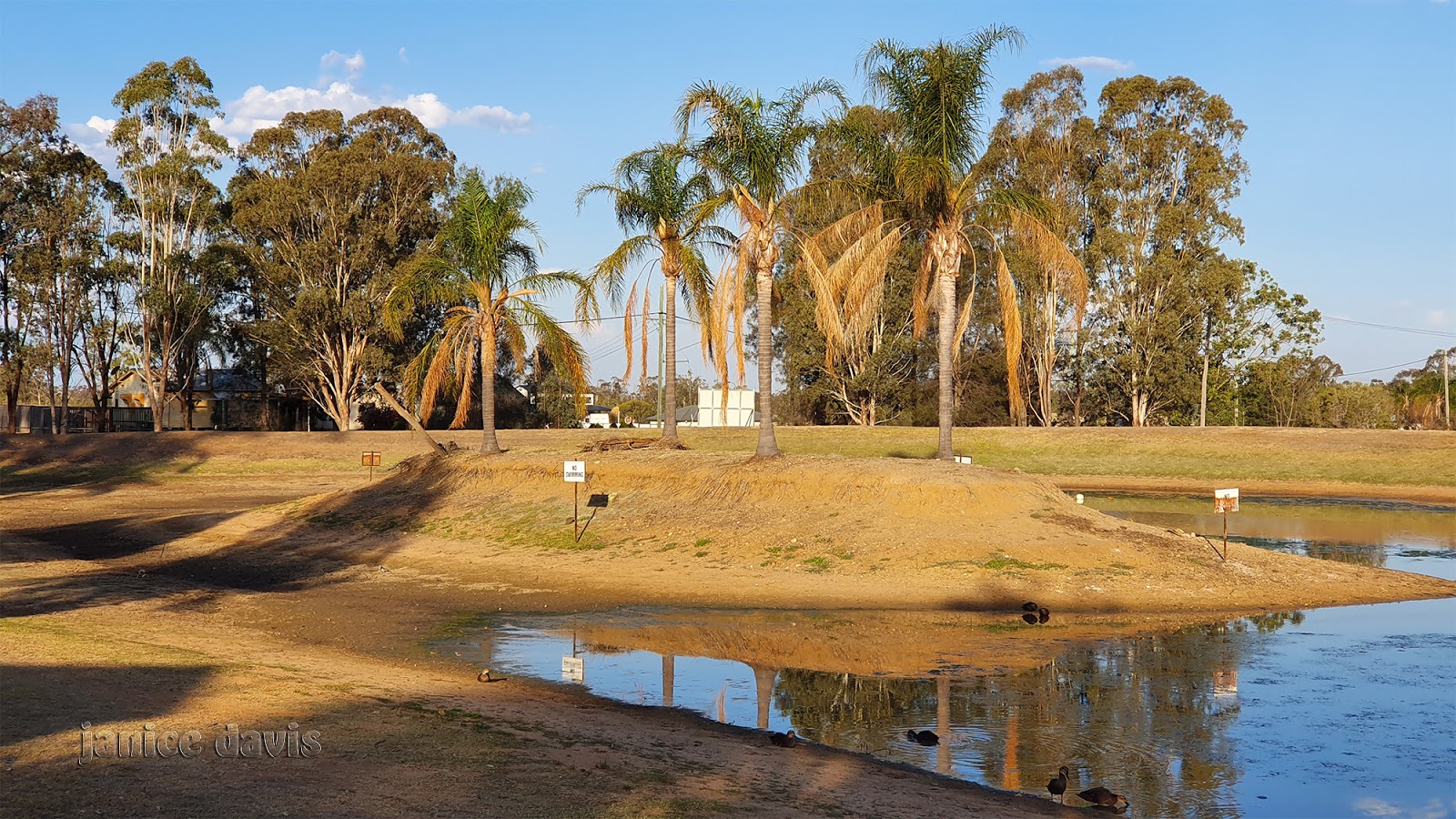 thoughts & happenings: Onwards to Millmerran Queensland.