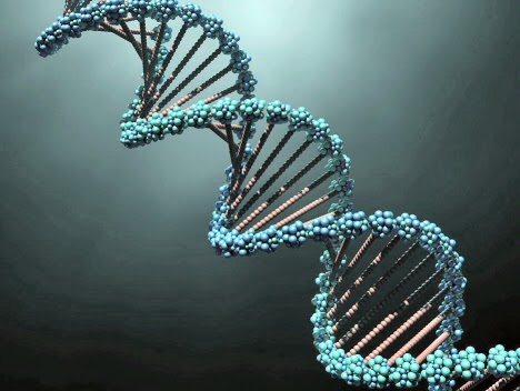 DNA Mystery : 99.9% Same DNA in all human beings
