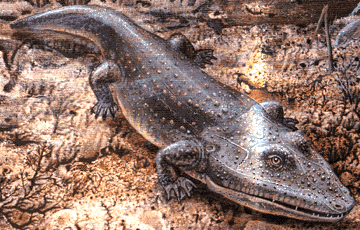 a mesozoic field guide: The Middle Triassic