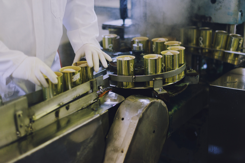 Sardine Tin Can Process and Buying - Sardine Fish Indonesia, Sardine ...