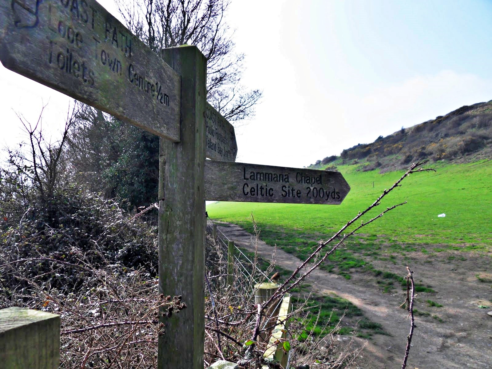 Mike's Cornwall: Looe Island and St. Michael of Lammana Chapel, Cornwall