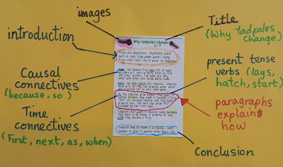 Year 5 @ Al Yasmina: Explanation Texts