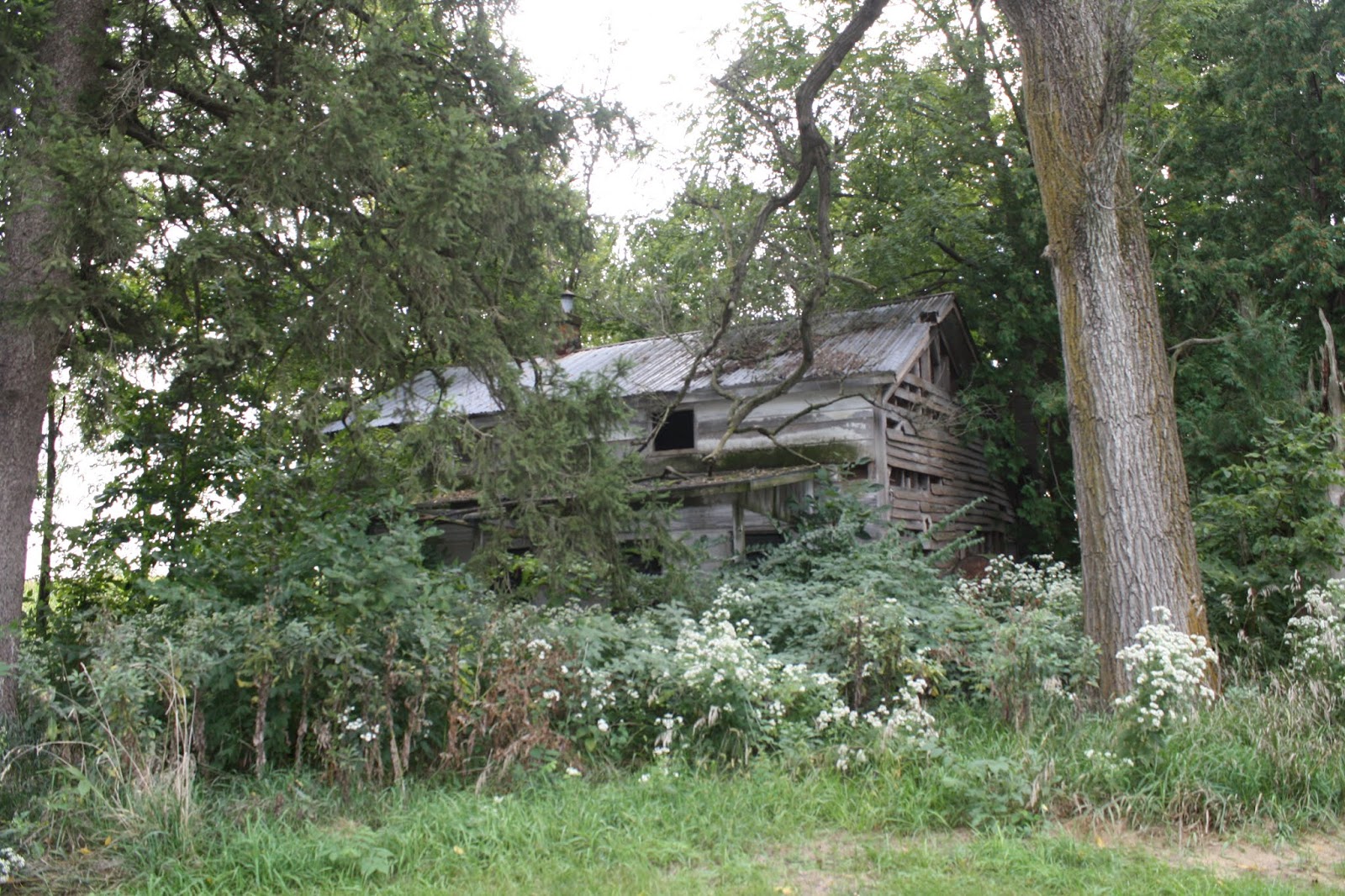 TroysJourney: PHOTOS OF COUNTRYSIDE OF INDIANA