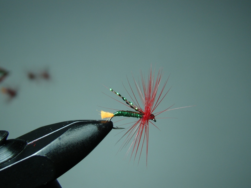 Pescuit cu musca artificiala: Taparina ROSIOARA