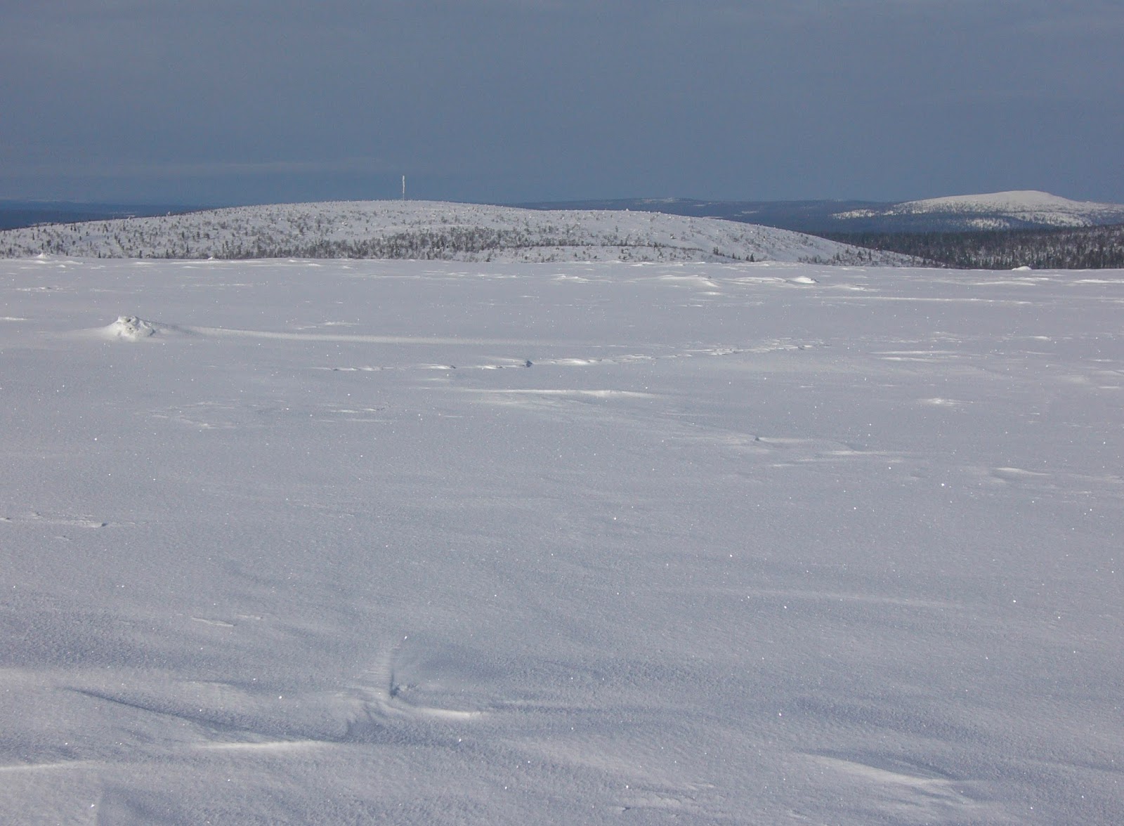Värriön luontopäiväkirja - Varrio nature diary: Värriön tunturiketjua ...