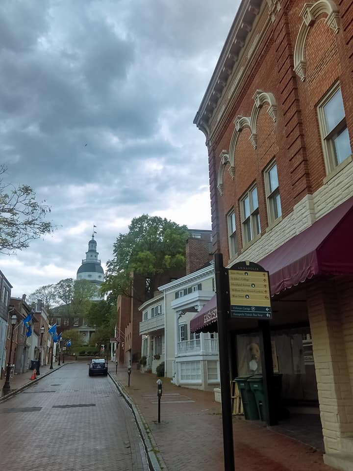 America First Libertarian: Code Blue States