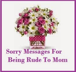 Sorry Messages : Being Rude