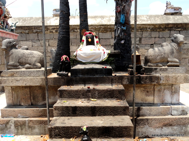 Aalayam Kanden (Temples I saw): King Sibi and the pound of flesh!