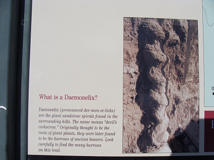 Go: Nebraska! | Day Drunk: Go: Nebraska!