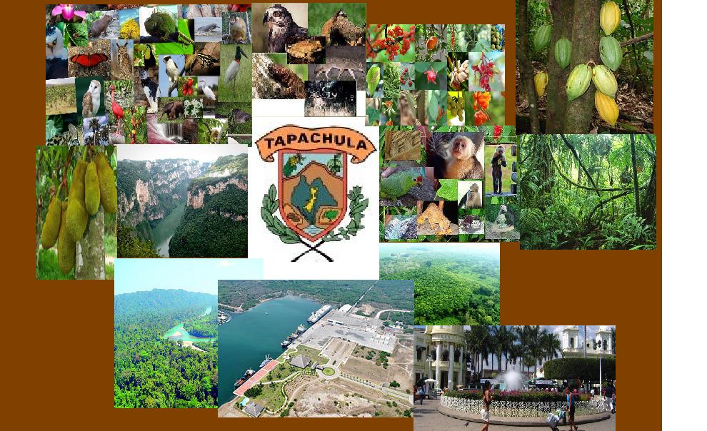 TAPACHULA