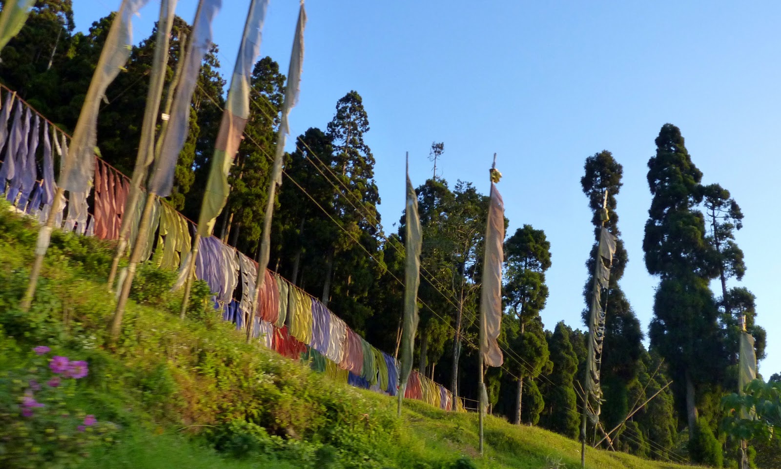 Aritar Lake,Sikikm - Explore Offbeat Trails Of Sikkim, | Delightful ...