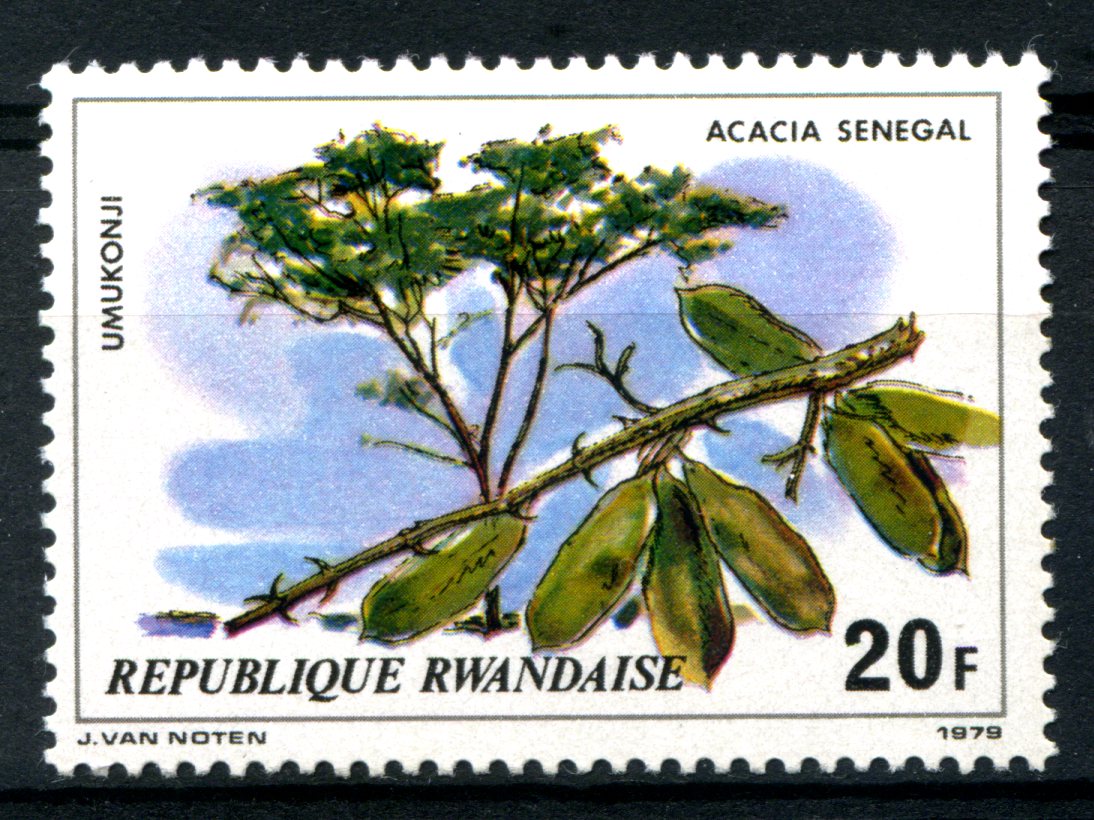 BIODIVERSIDAD FORESTAL: Biodiversidad Forestal(RUANDA)