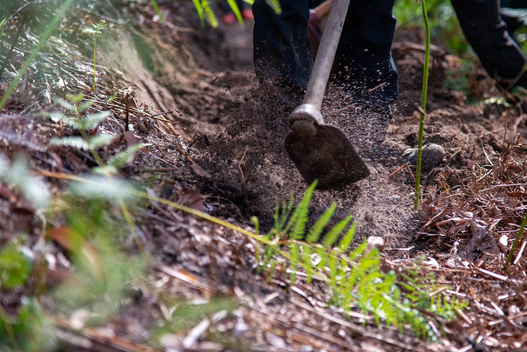 Merinding Trail Jalan Baru
