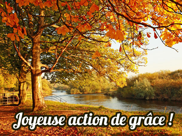 Curious Fours/Curieux en quatrième: Joyeuse action de grâce/ Happy ...